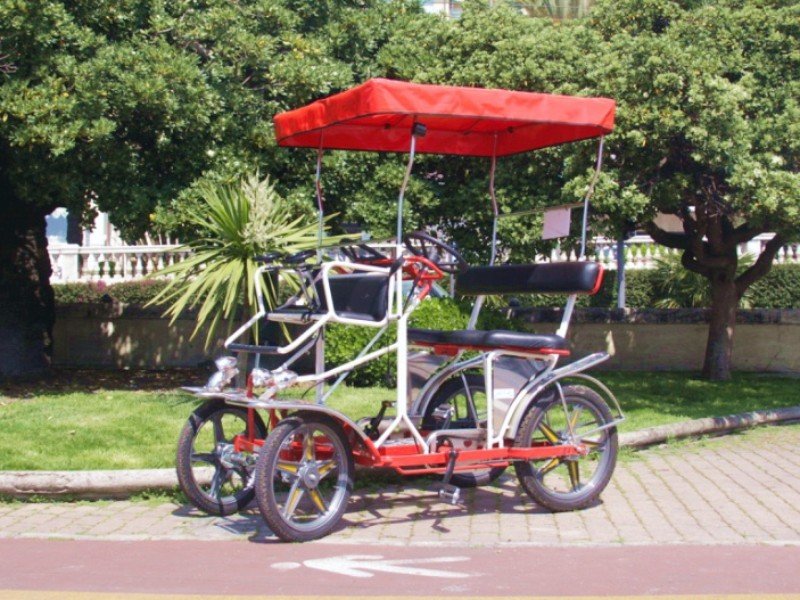 Risciò 2 posti | Noleggi | Sanremo | Sharewood